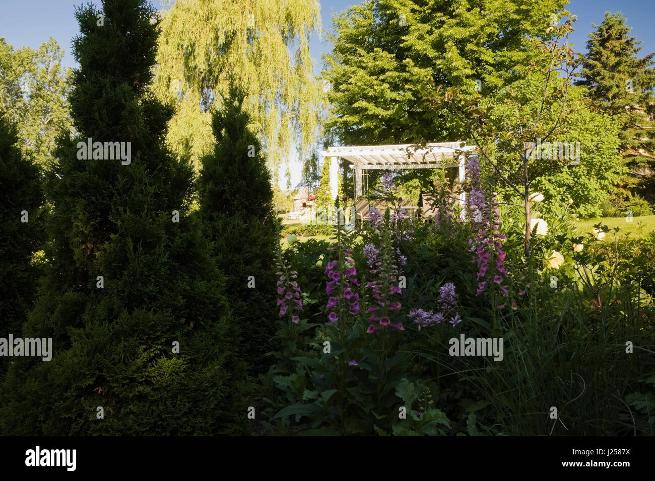 View of a pergola through a flower bed in a landscaped residential ...