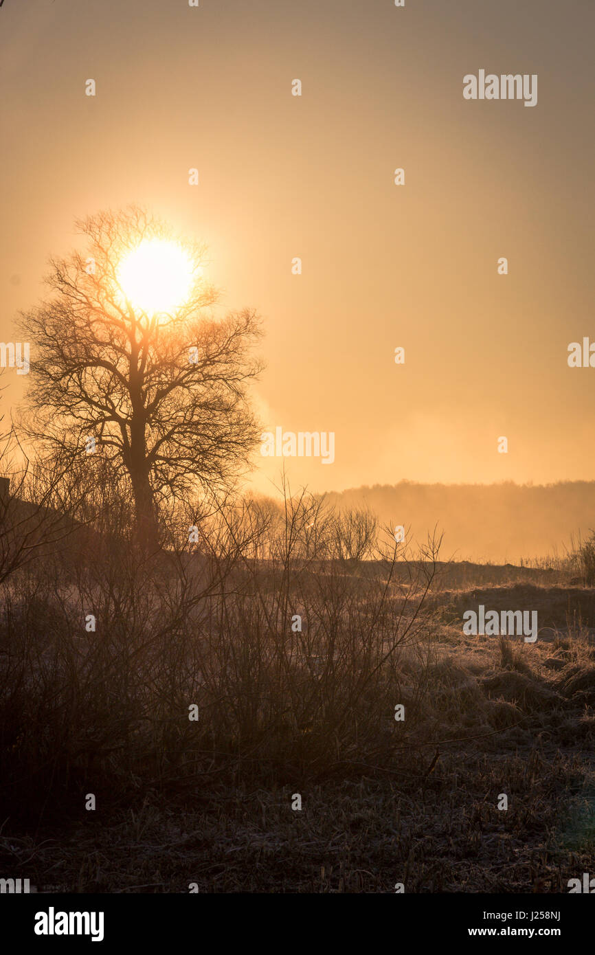 A beautiful morning landscape, a soft cold spring sun disperses the fog ...