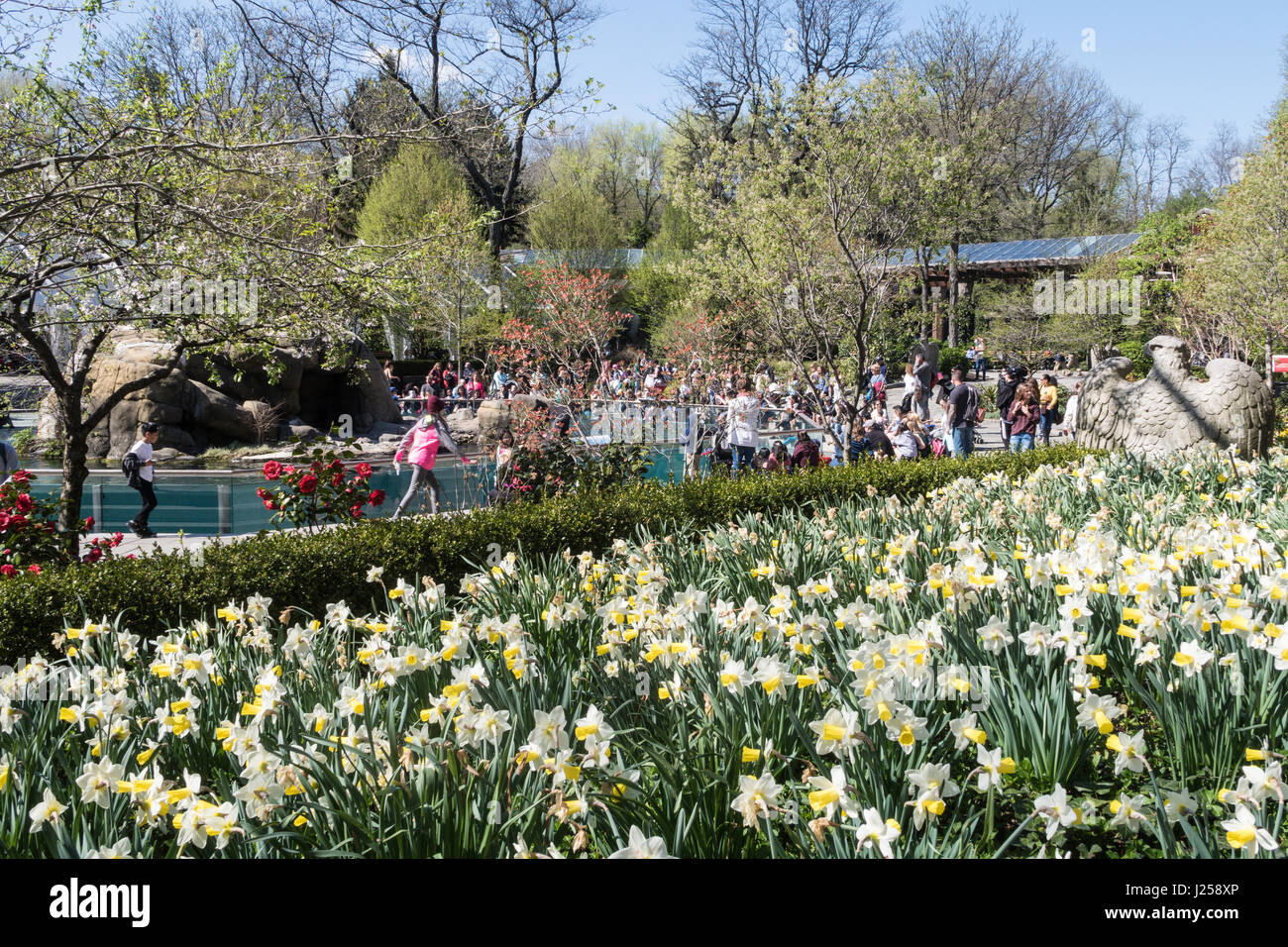 Central Park Zoo in Spring, NYC, USA Stock Photo - Alamy