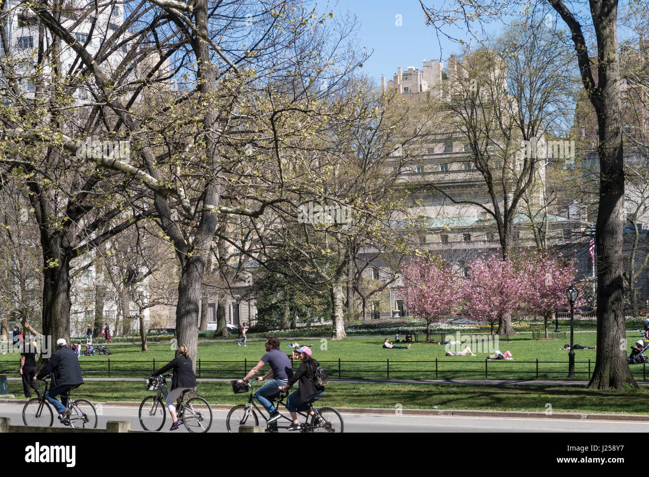 Cycling in the spring sunshine hi-res stock photography and images - Alamy