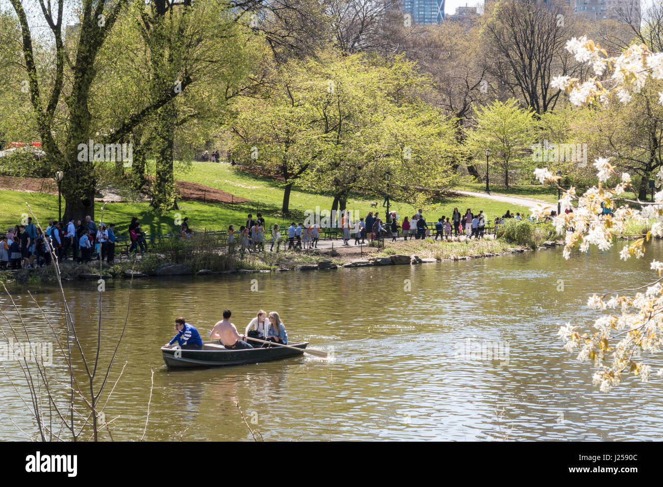 The Lake with Rowboats in Central Park, NYC, USA Stock Photo - Alamy