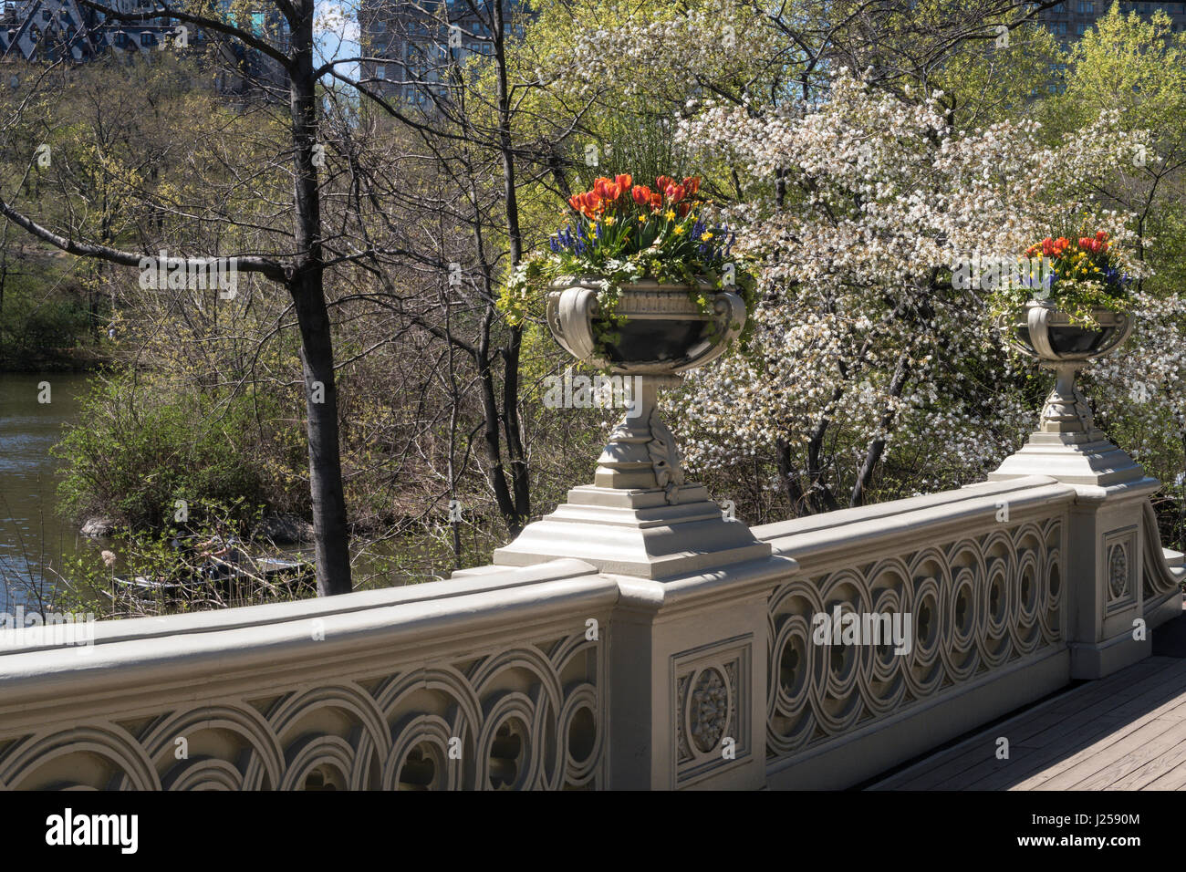 Bow Bridge in Central Park, NYC, USA Stock Photo - Alamy