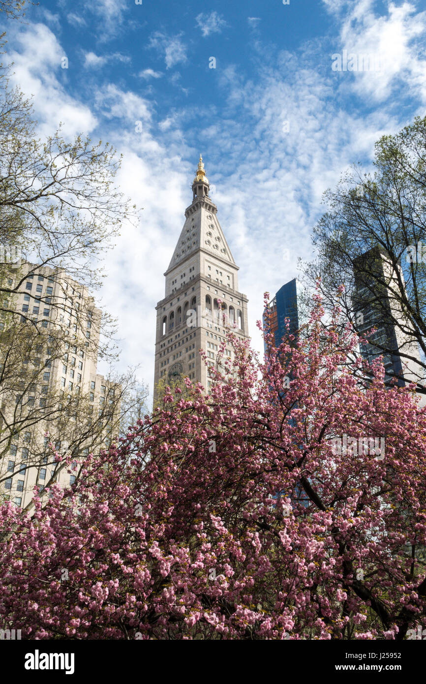 Madison Square Park and MetLife Tower in Springtime, NYC, USA Stock ...