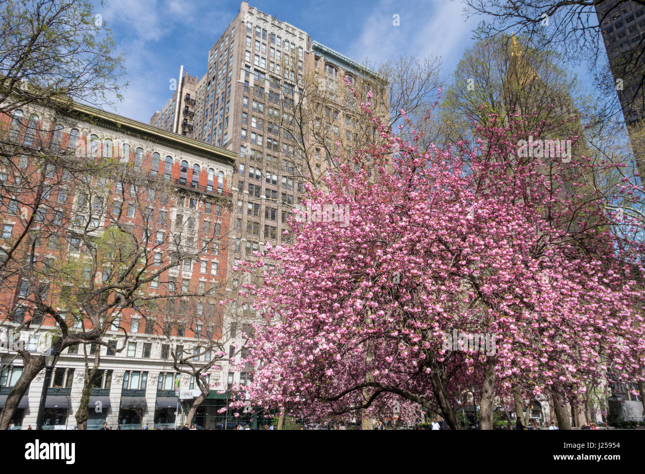 Madison Square Park in Springtime, NYC, USA Stock Photo - Alamy