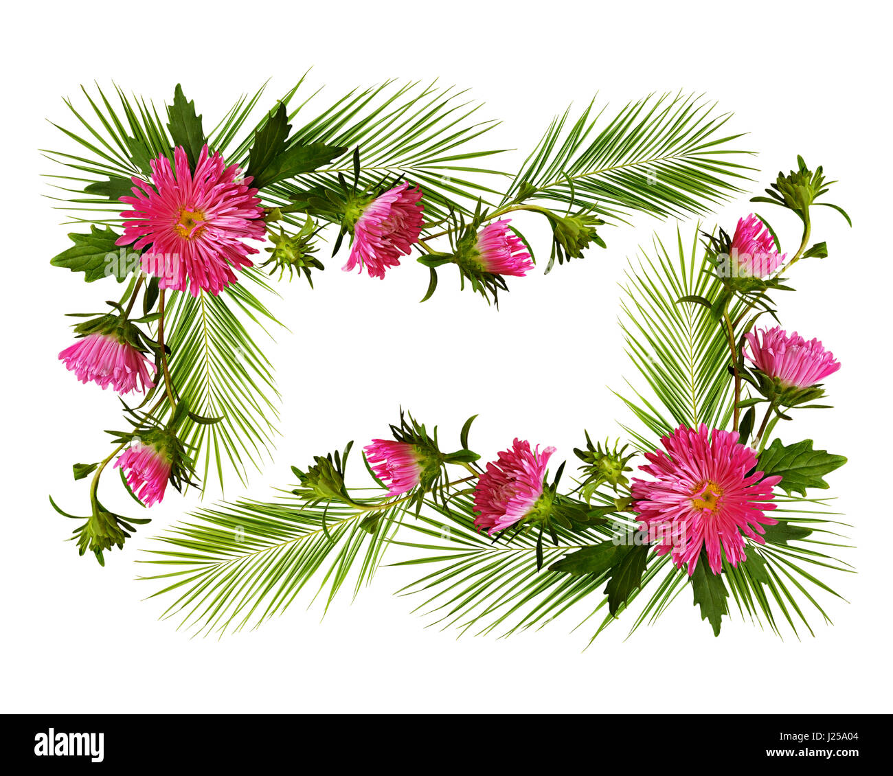 Decorative frame with pink aster flowers and pulm branches isolated on ...