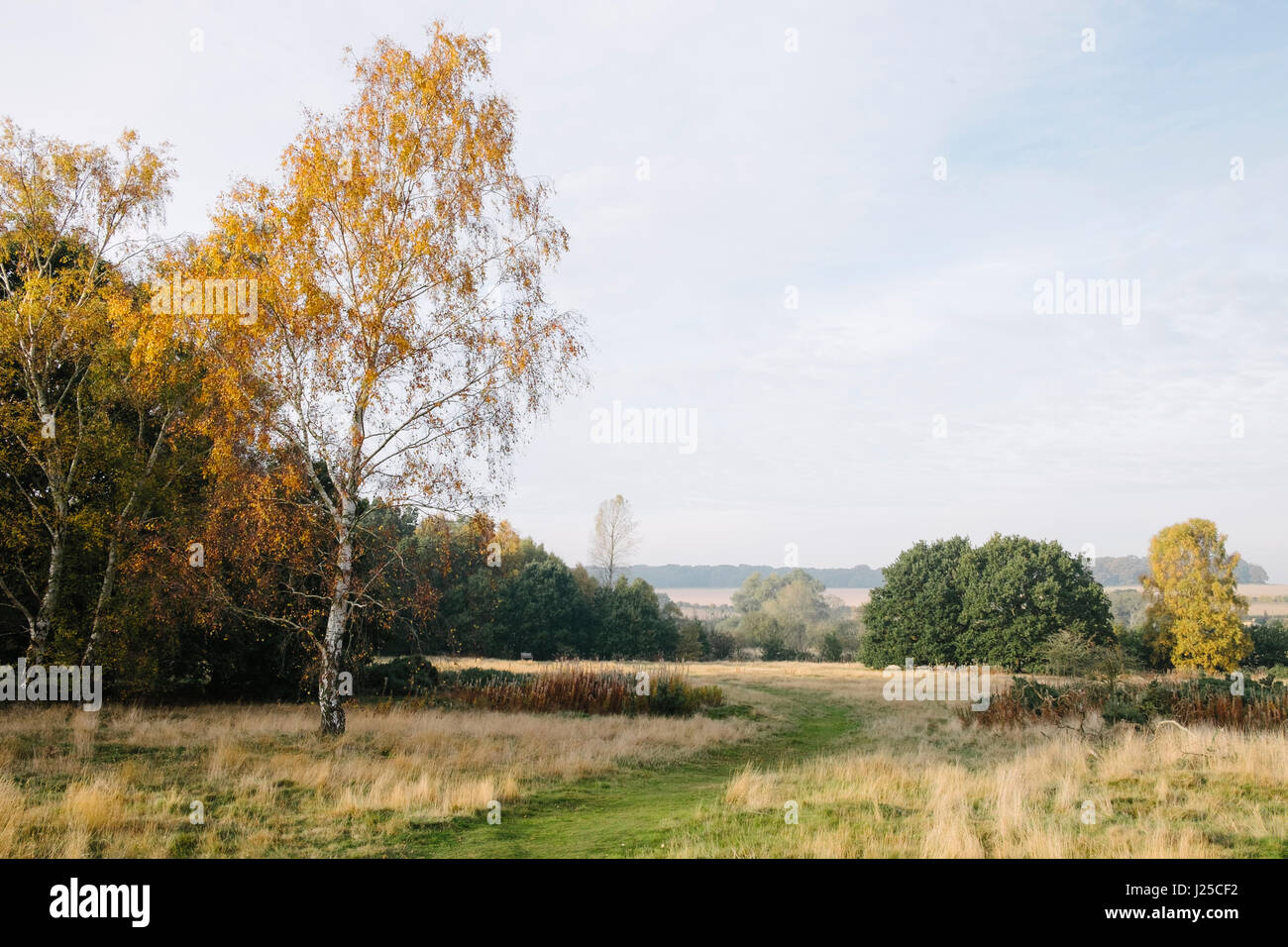 Norfolk countryside autumn hi-res stock photography and images - Alamy