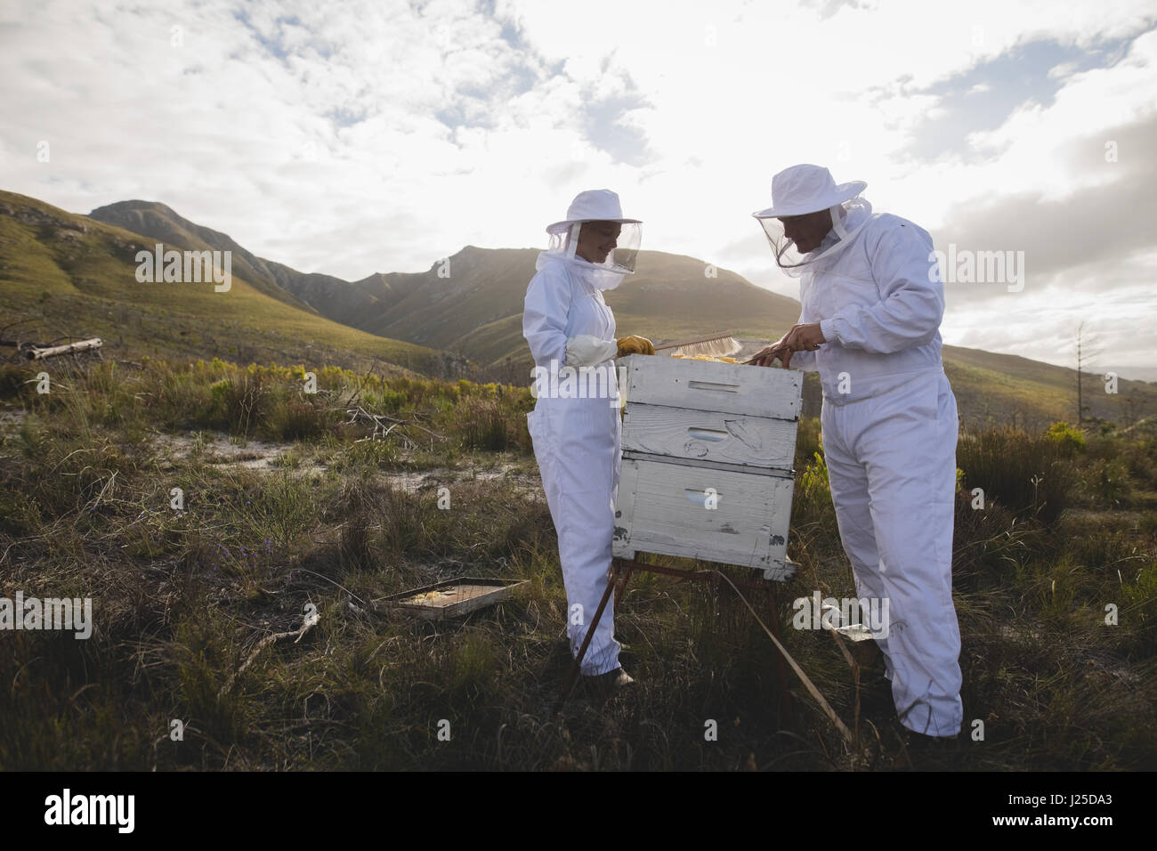 Full length of male and female apiarists working on beehive at apiary ...