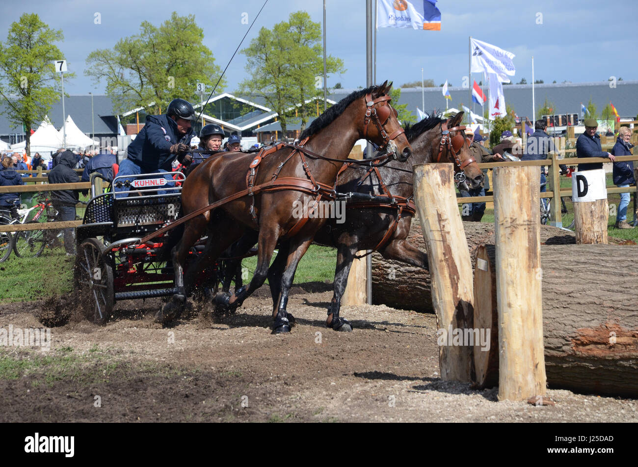 Carriage Driving Marathon High Resolution Stock Photography and Images ...
