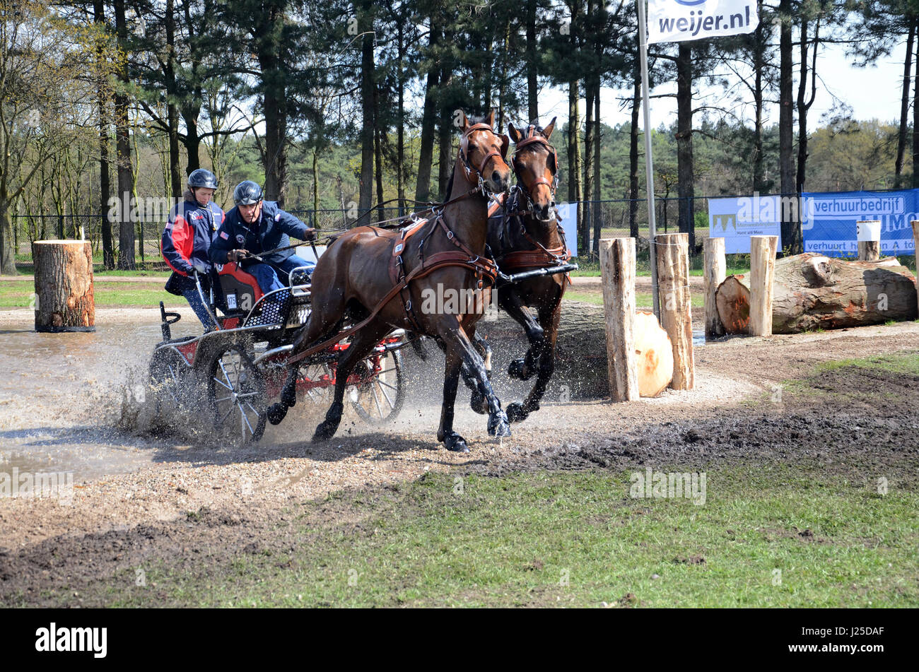 international carriage driving competitions, Horst, Limburg Netherlands ...