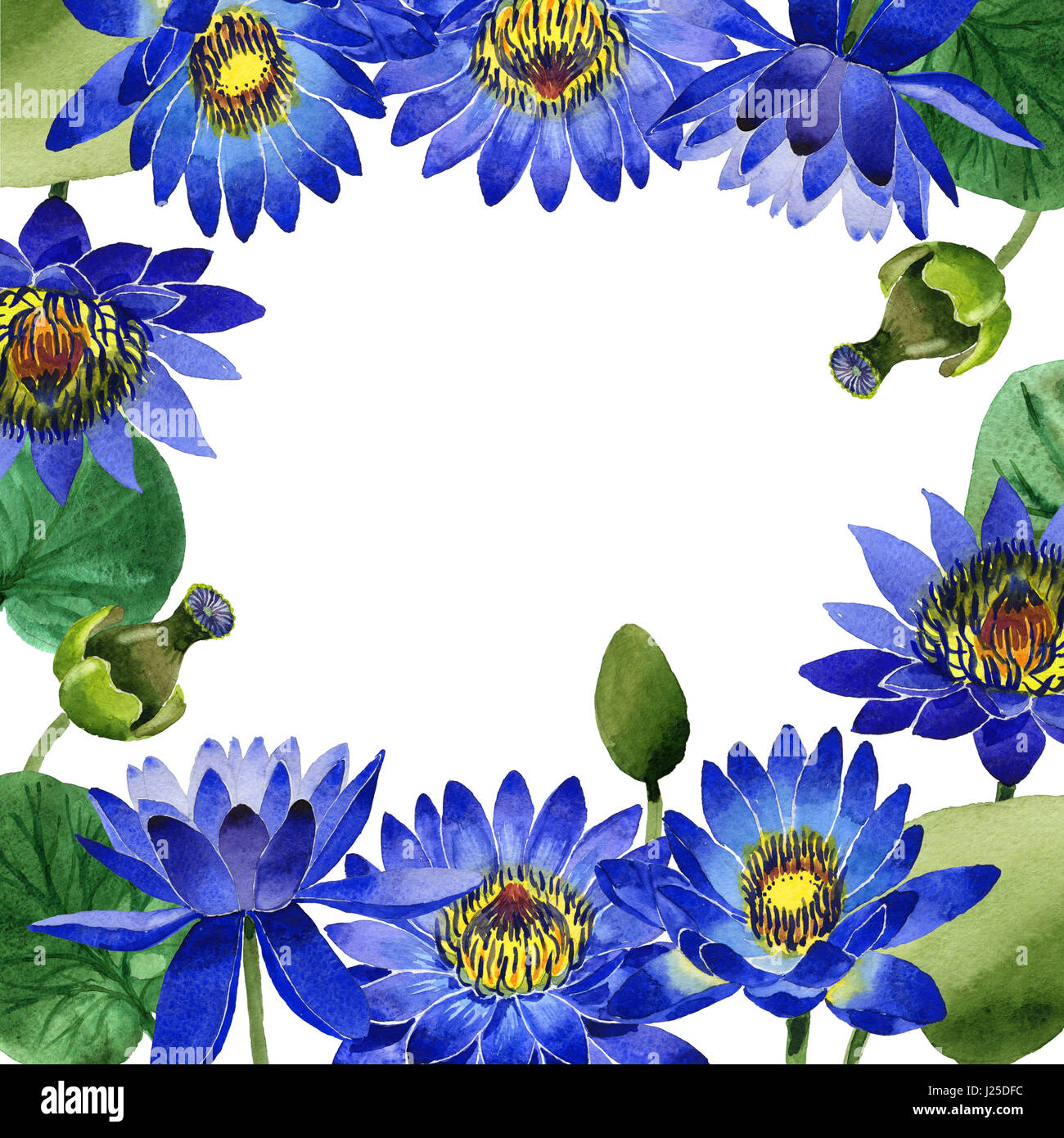 Wildflower blue lotus flower frame in a watercolor style isolated. Full ...