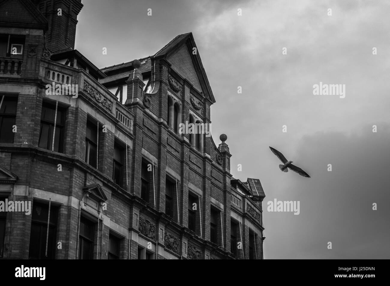 Modern old architecture in Black and White Stock Photos & Images - Alamy