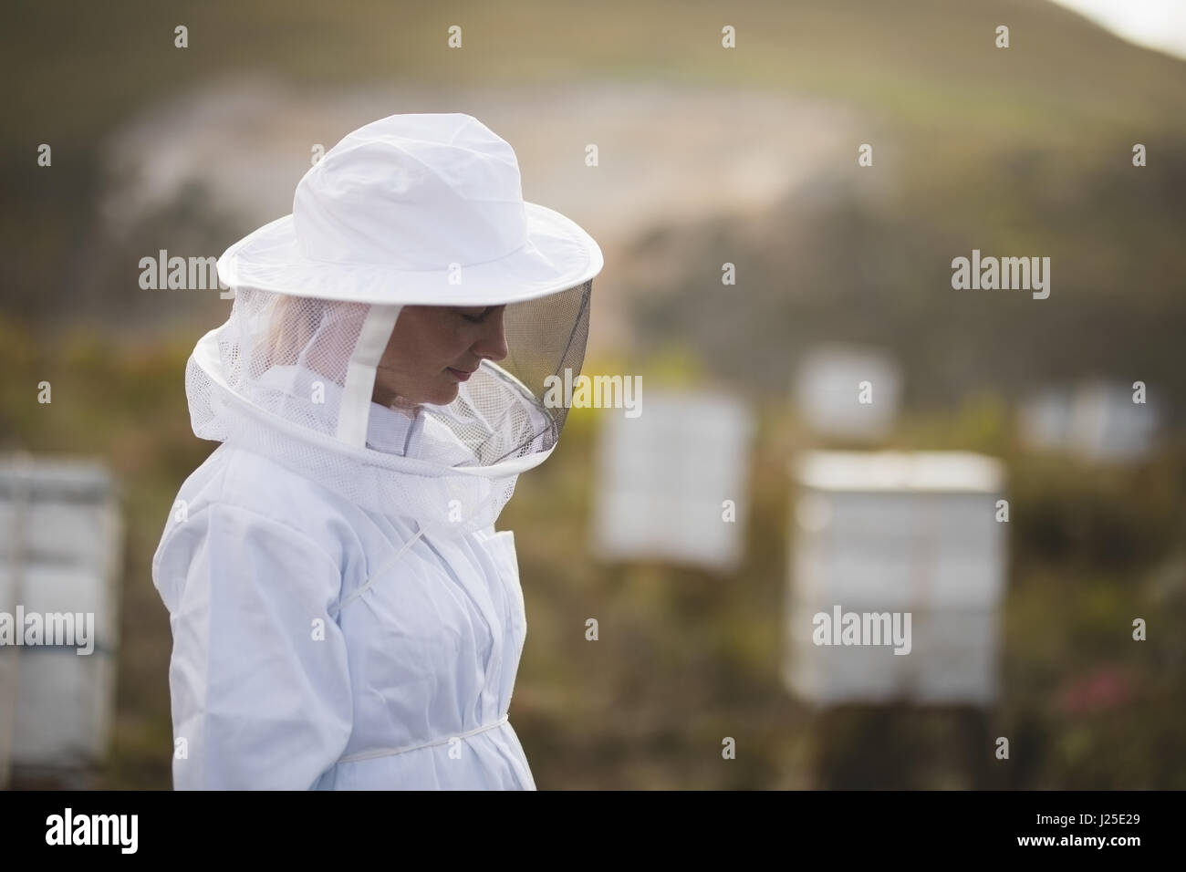 Apiarist tool hi-res stock photography and images - Alamy