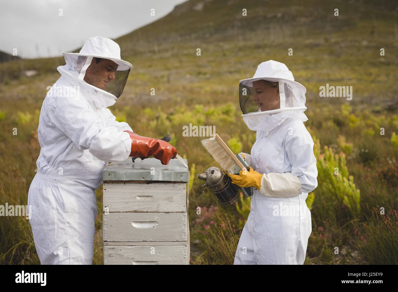 Male and female beekeepers working on beehive in apiary Stock Photo - Alamy