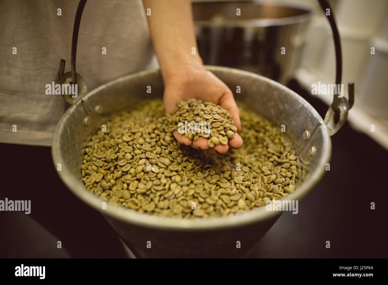 Mid-section of female barista holding bucket full of green coffee beans ...