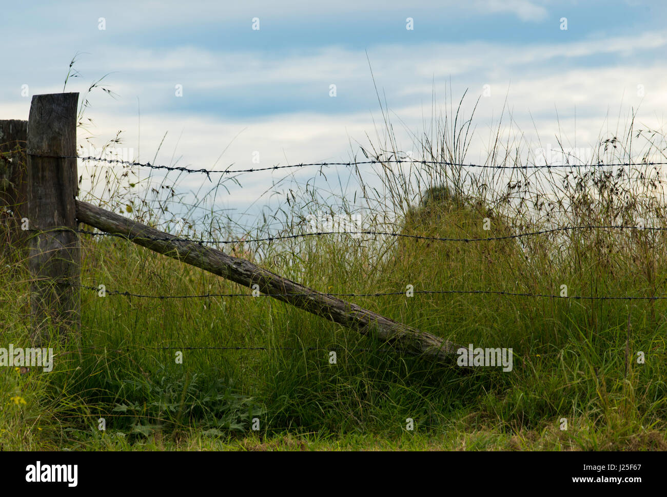 Rusting Old Fence High Resolution Stock Photography and Images - Alamy