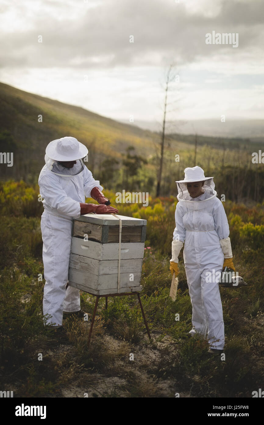 Full length of male and female beekeepers working on beehive at apiary ...