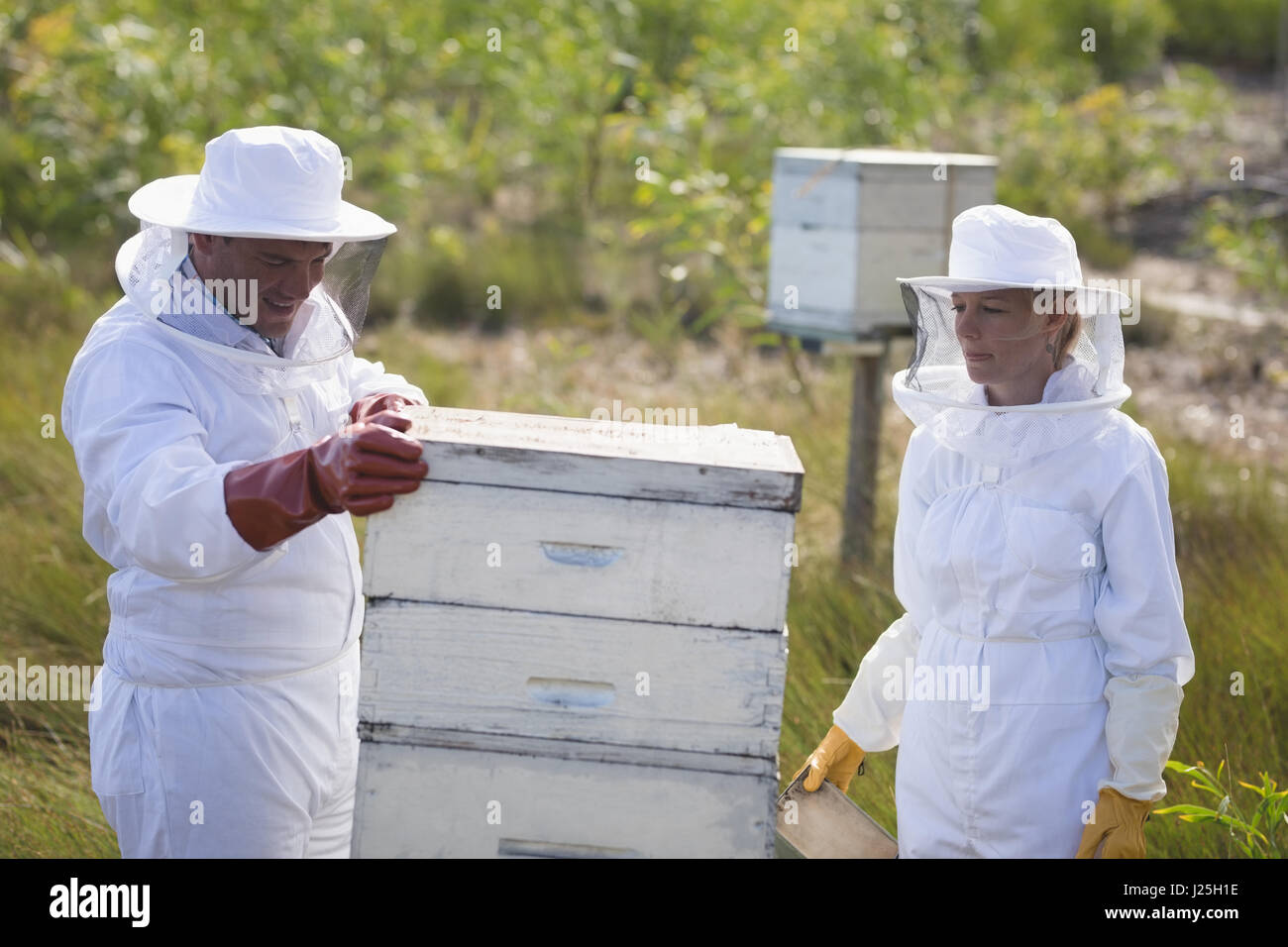 Beekeepers hat hi-res stock photography and images - Alamy