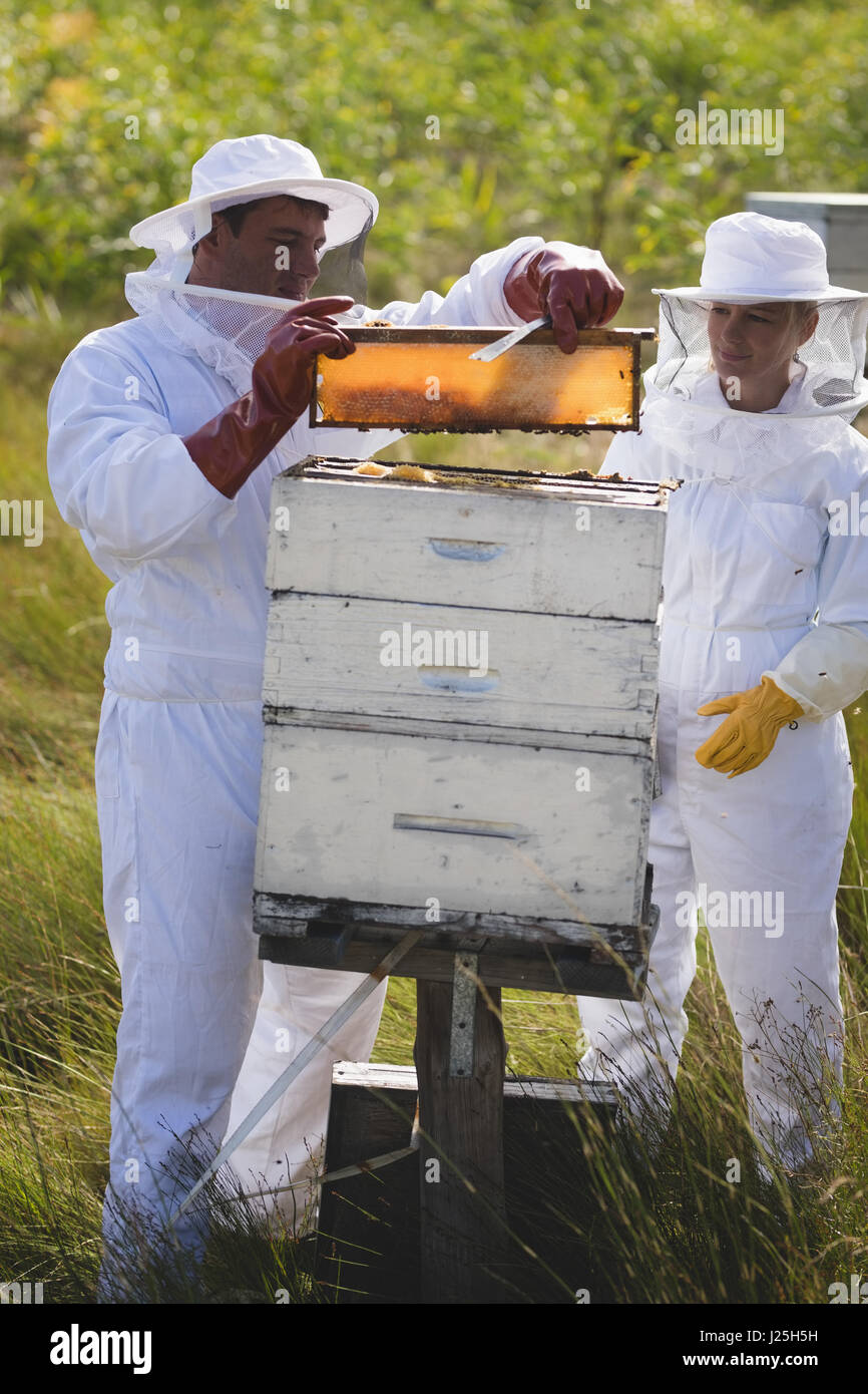 Apiarists hi-res stock photography and images - Alamy