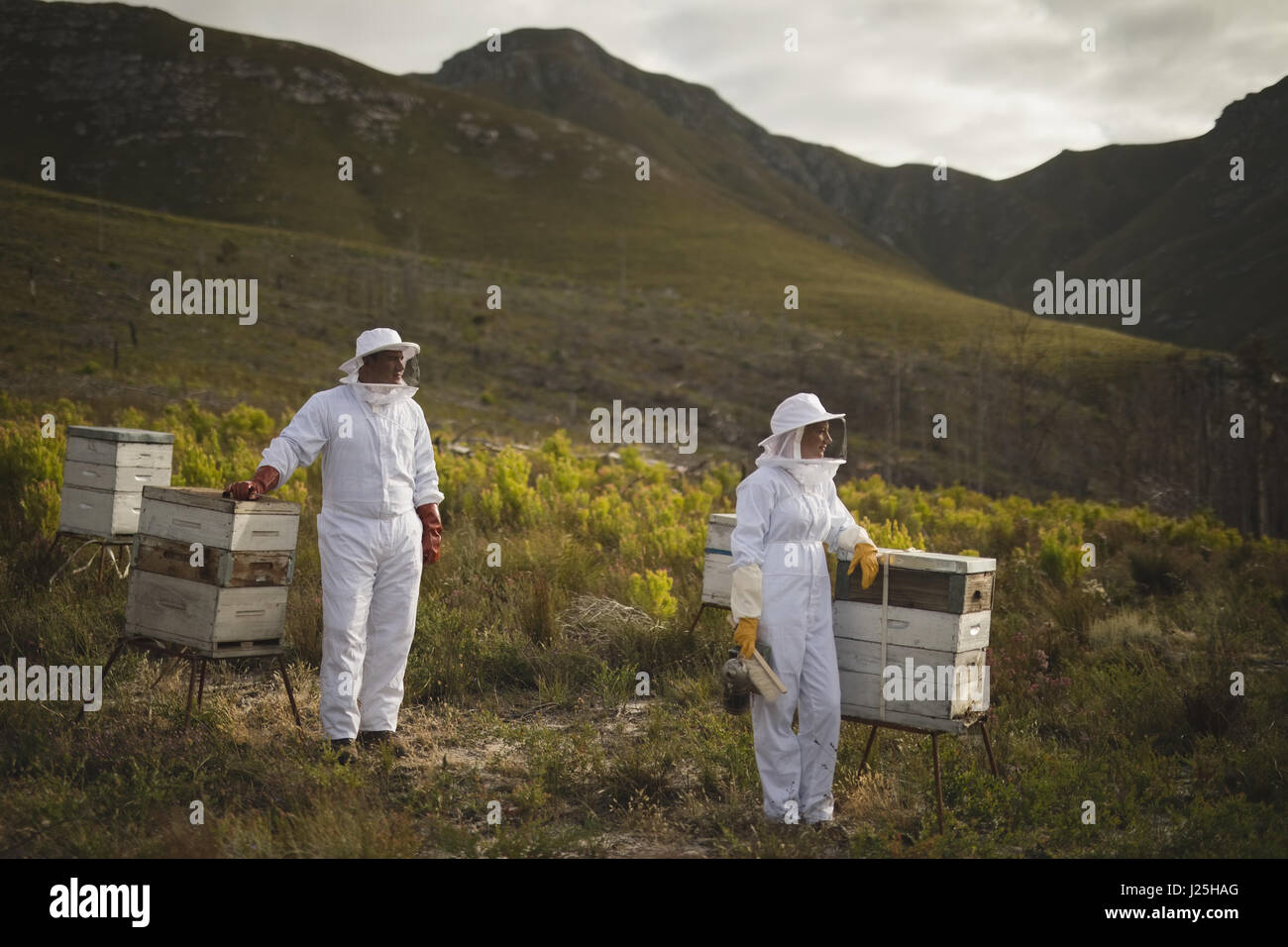Beehives on field apiary hi-res stock photography and images - Alamy