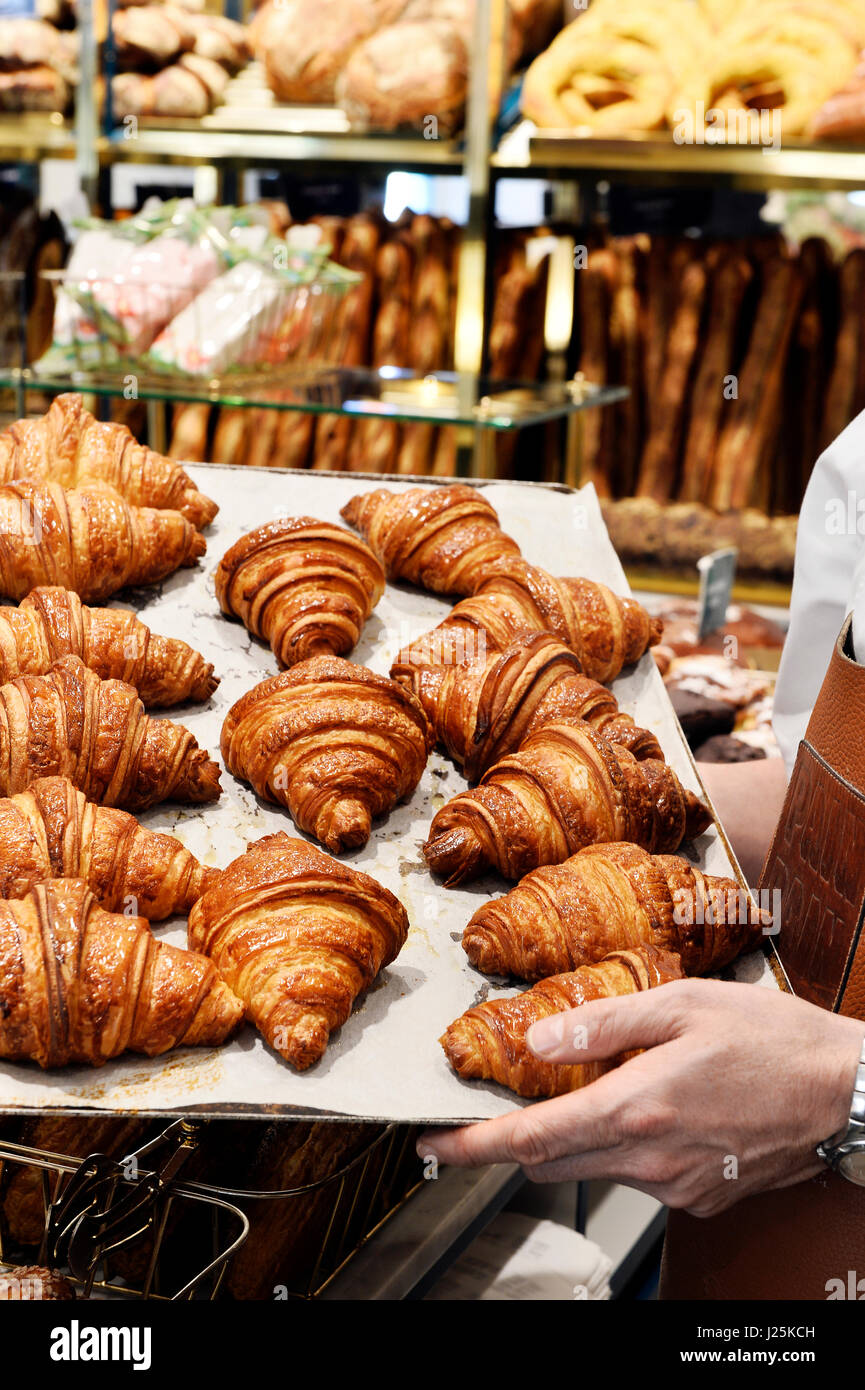 Europe France Paris French Pastries High Resolution Stock Photography ...