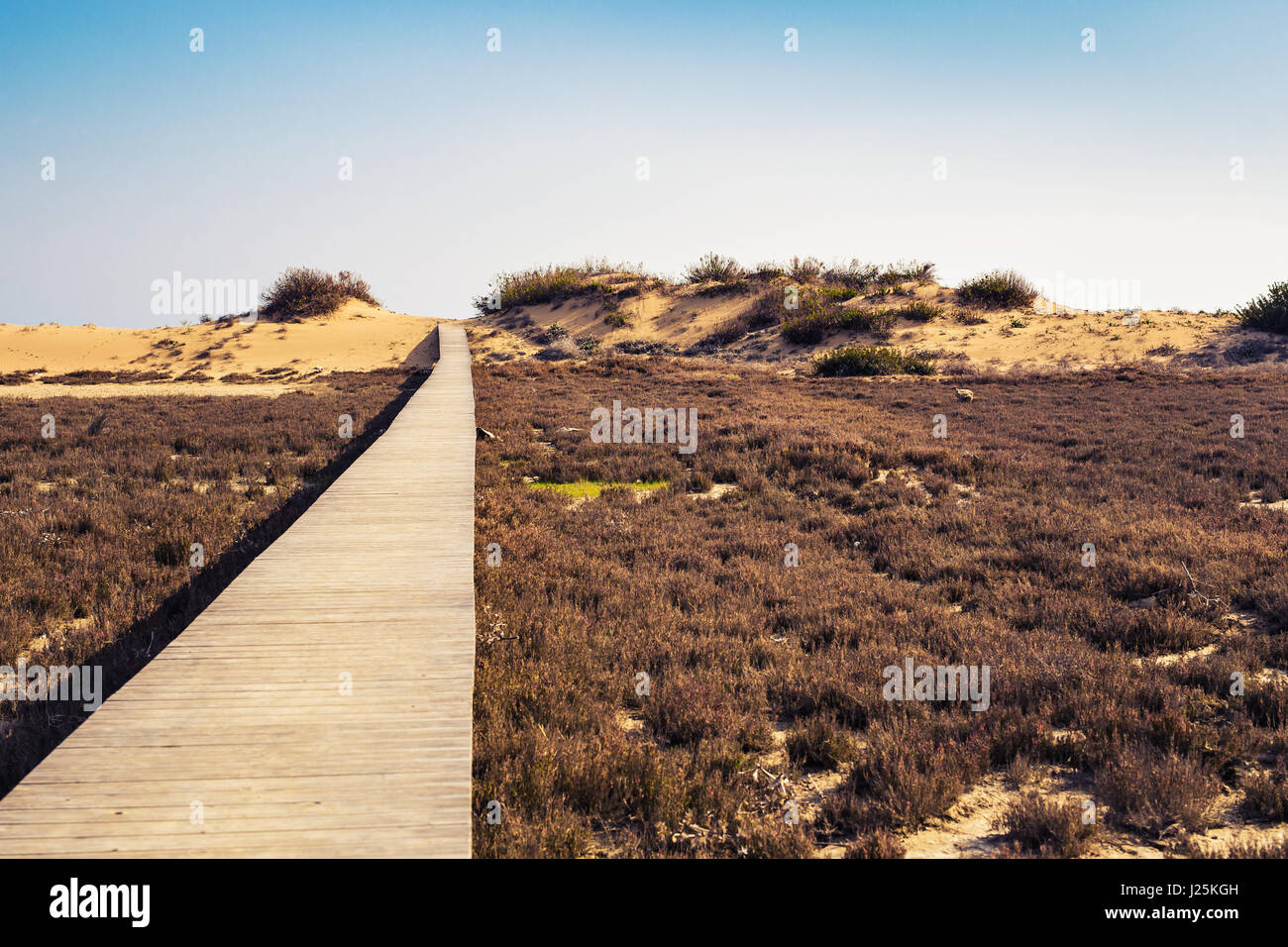 wooden beach boardwalk path Stock Photo - Alamy