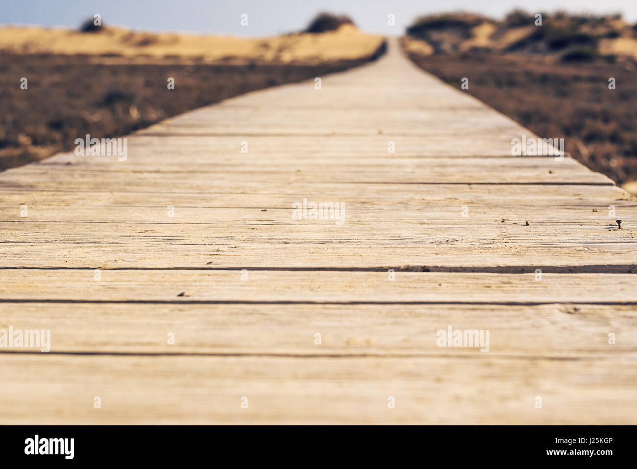 Close-up of wooden beach boardwalk path Stock Photo - Alamy