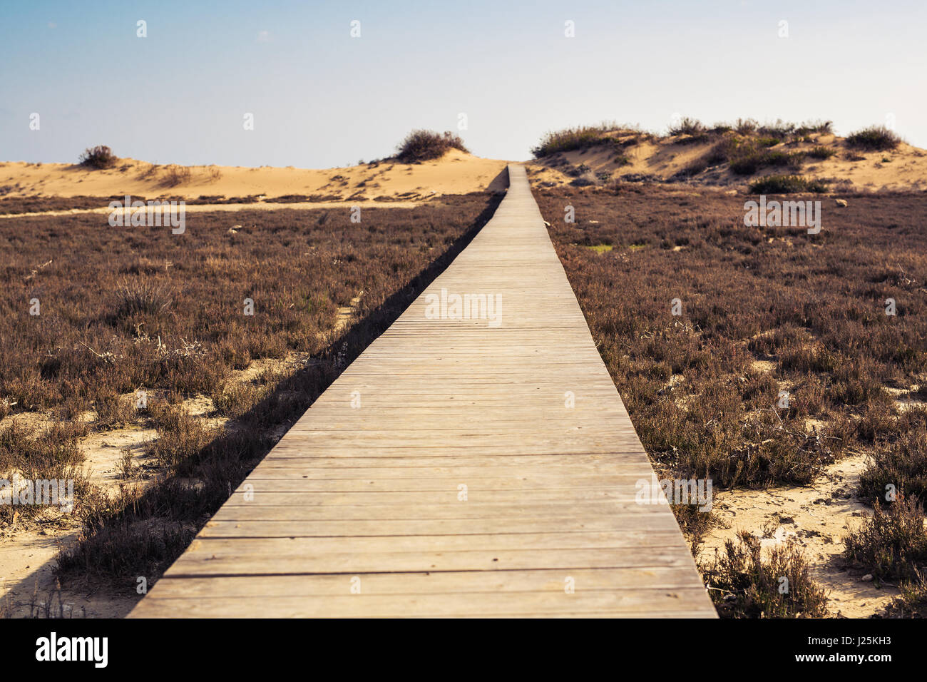 wooden beach boardwalk path Stock Photo - Alamy