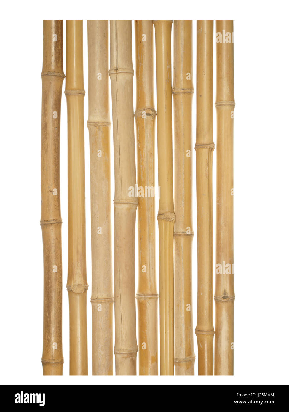The trunks of various thicknesses of dry bamboo isolated on white ...