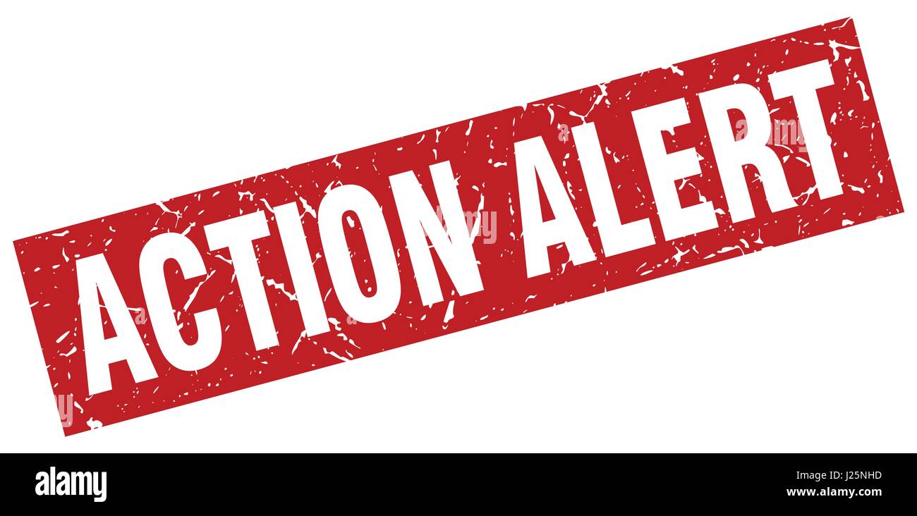 square grunge red action alert stamp Stock Vector Image & Art - Alamy