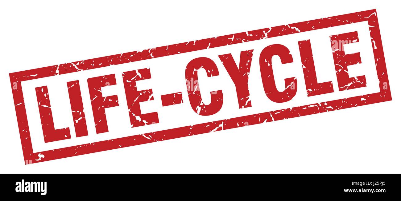 square grunge red life-cycle stamp Stock Vector Image & Art - Alamy