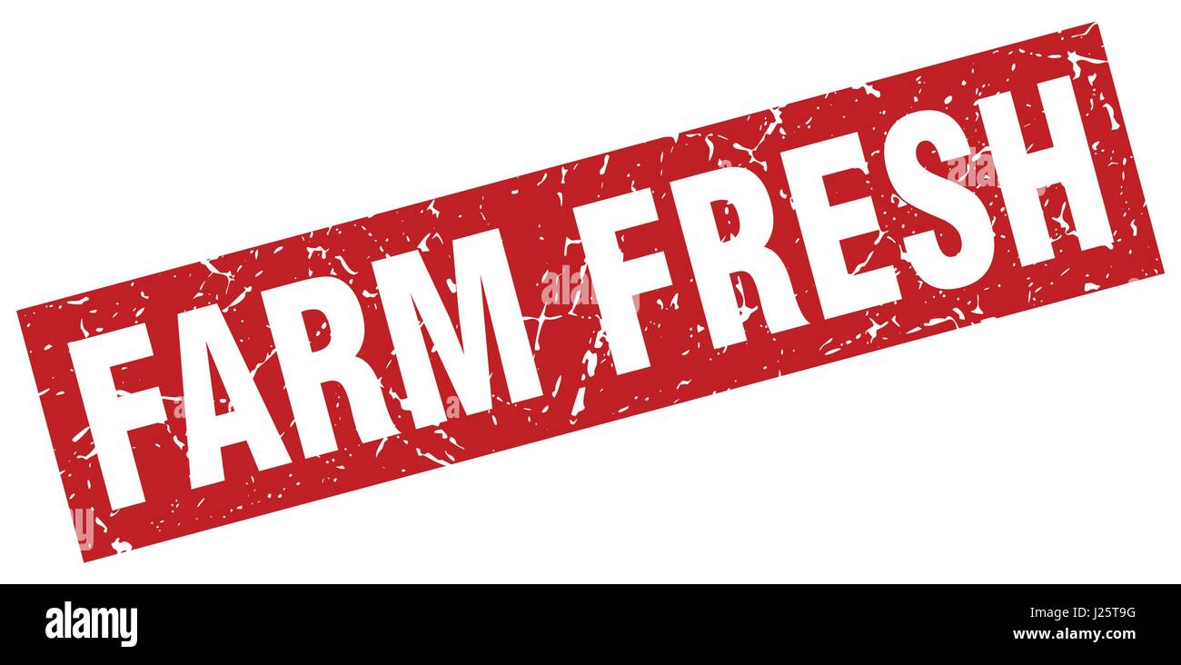 square grunge red farm fresh stamp Stock Vector Image & Art - Alamy