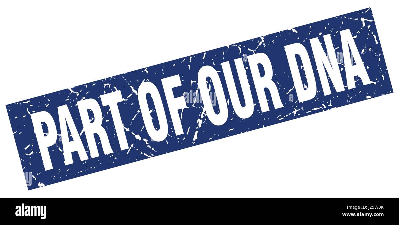 square grunge blue part of our dna stamp Stock Vector Image & Art - Alamy