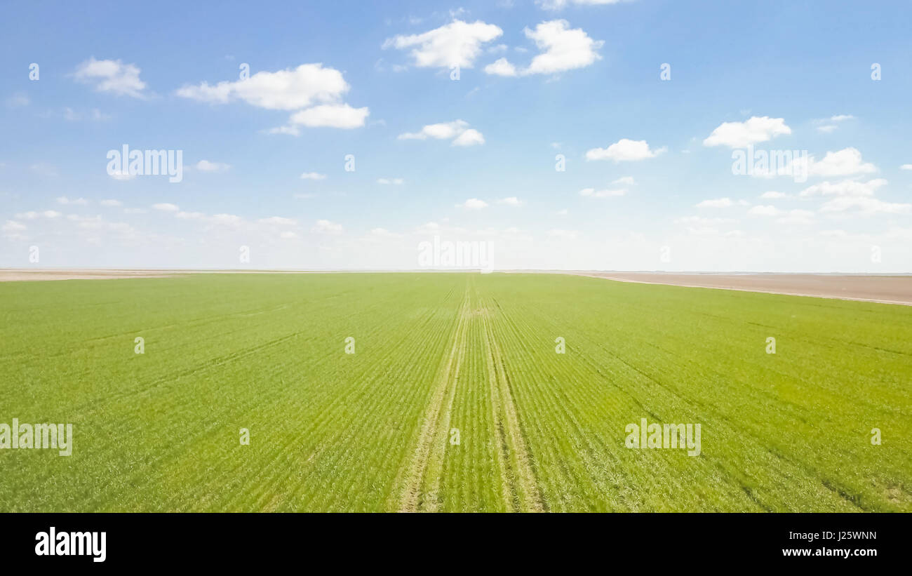 Aerial view of farmlands on Eastern Plains in the Spring Stock Photo ...