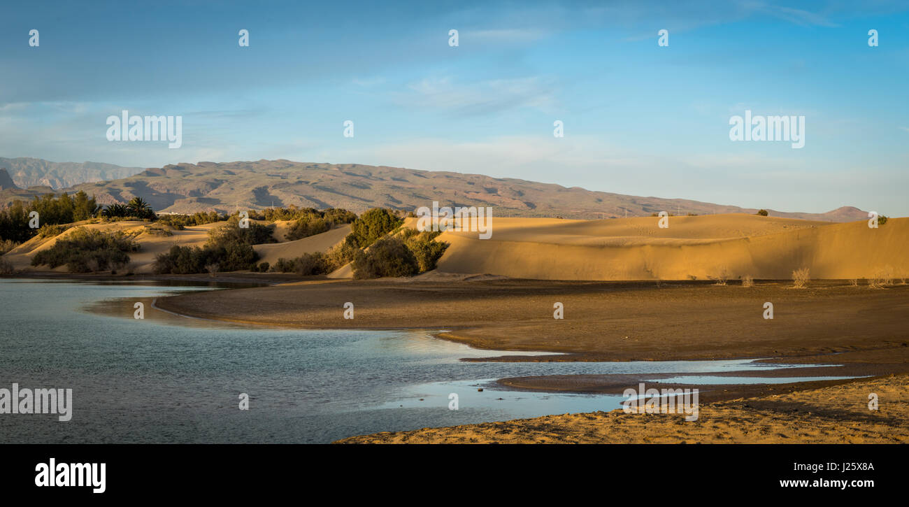 Oasis desert hi-res stock photography and images - Alamy