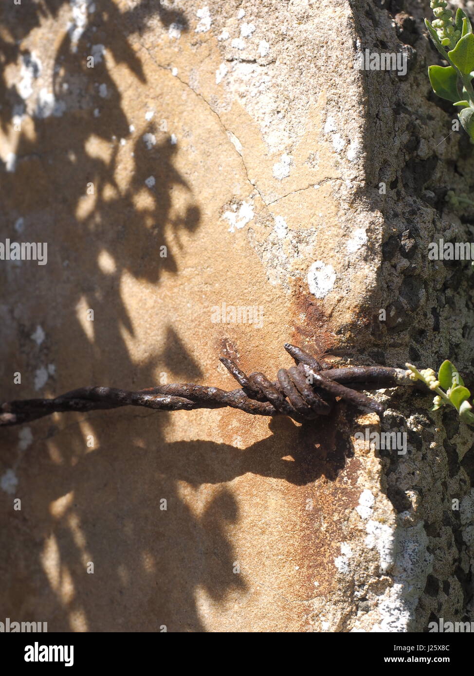 Concrete pole metal fence hi-res stock photography and images - Alamy