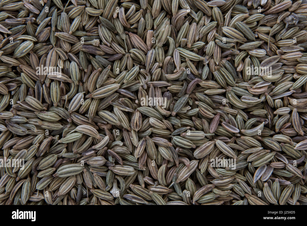 Whole Fennel Seeds Covering the Horizontal Image Stock Photo - Alamy