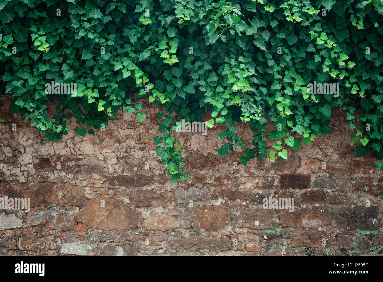 Florence italy in spring hi-res stock photography and images - Alamy