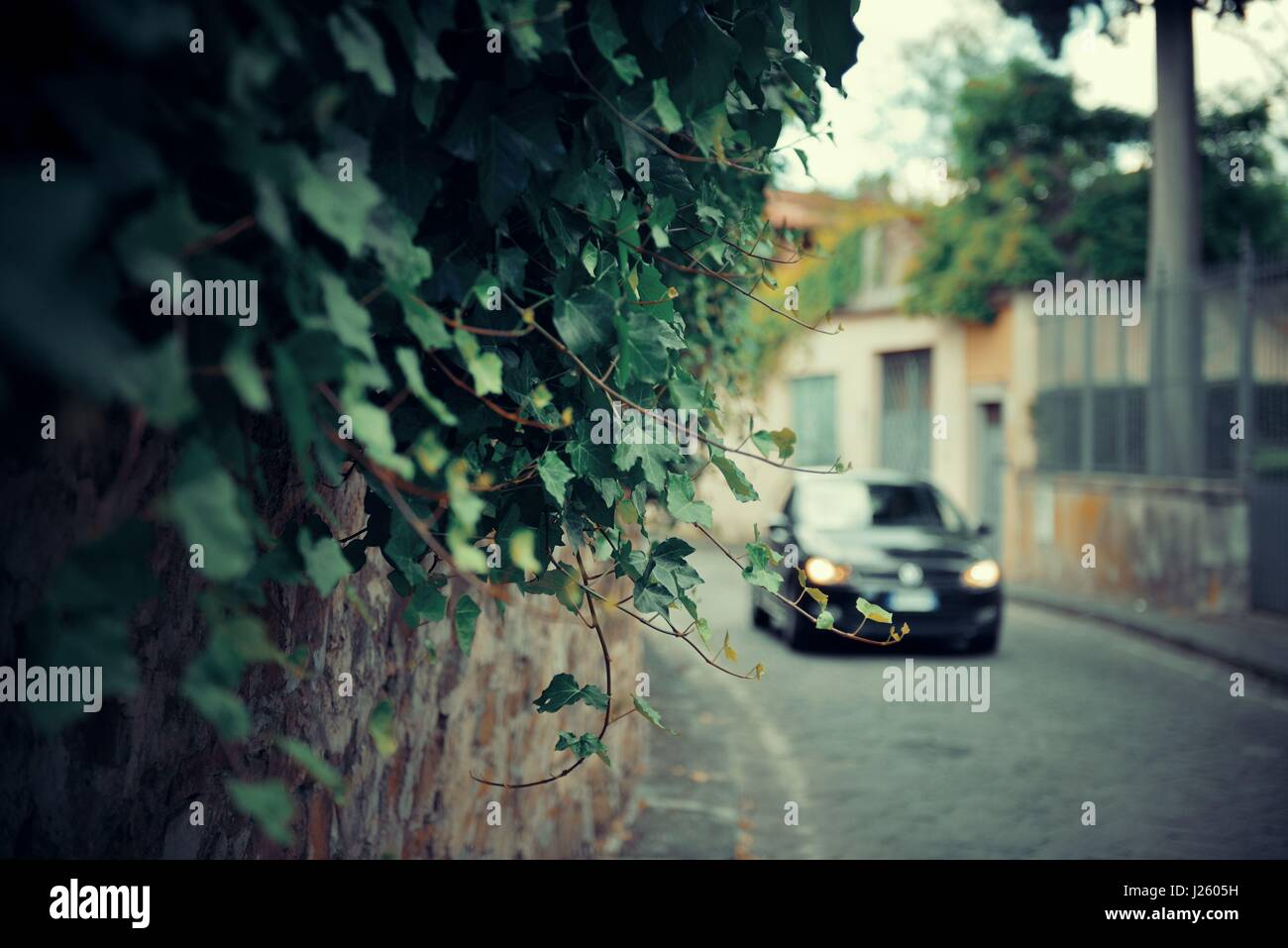 Street view in Florence, Italy Stock Photo - Alamy