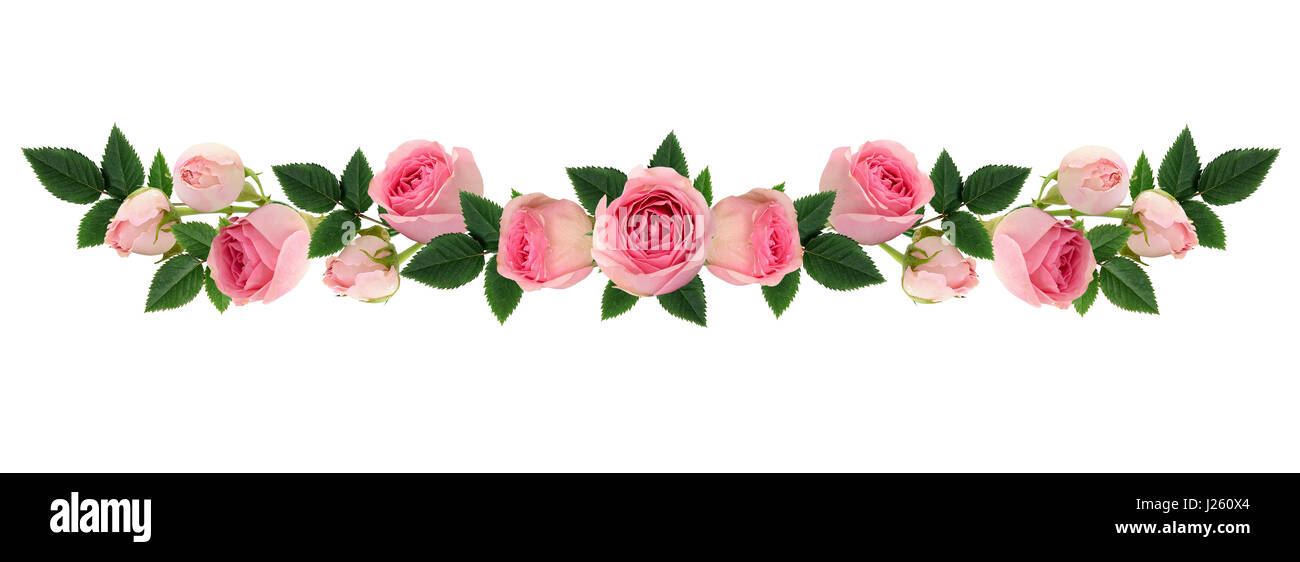 Line of flowers hi-res stock photography and images - Alamy