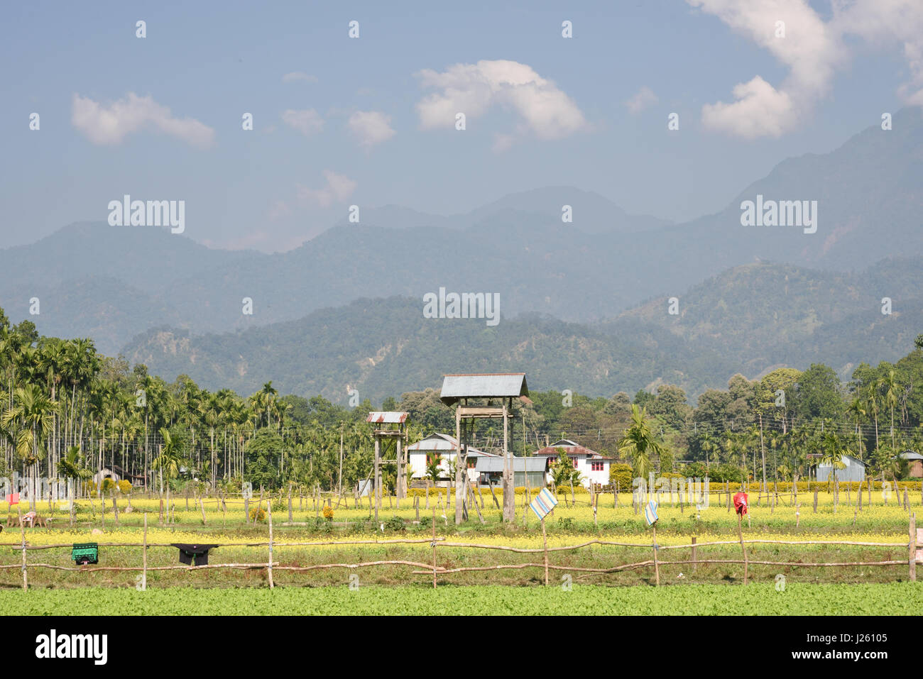 Alipurduar hi-res stock photography and images - Alamy