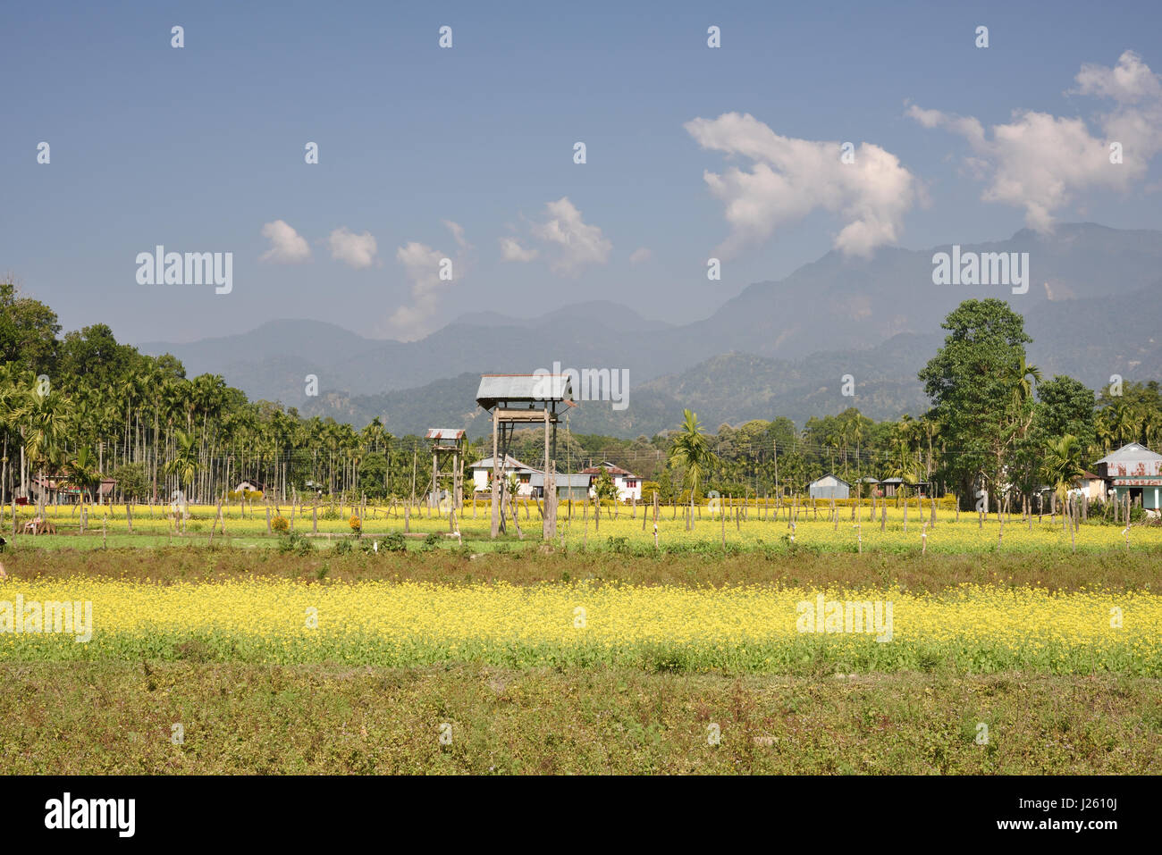 Alipurduar hi-res stock photography and images - Alamy