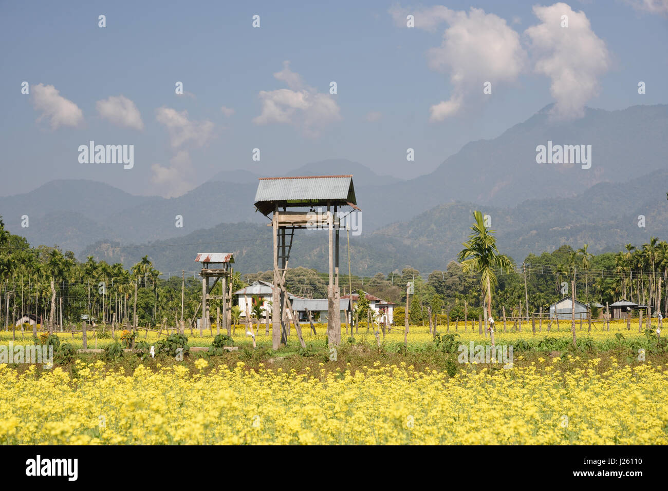 Alipurduar hi-res stock photography and images - Alamy