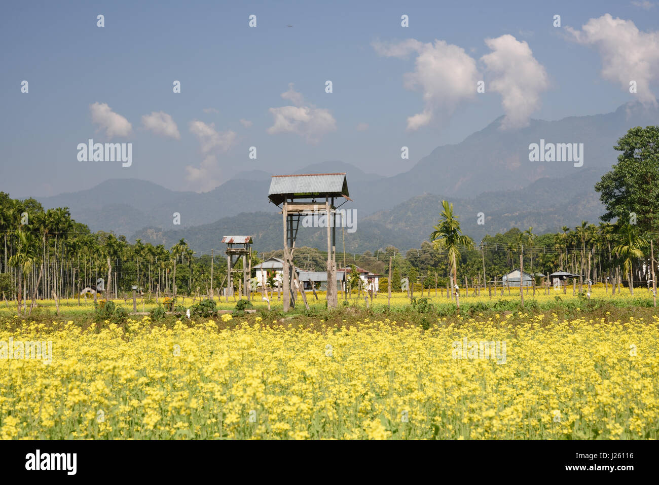 Alipurduar hi-res stock photography and images - Alamy