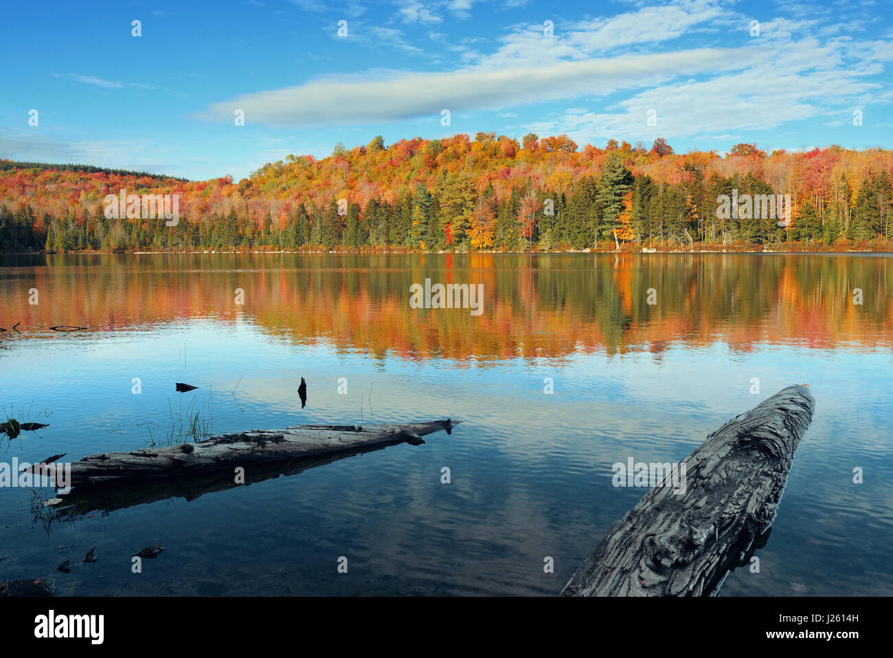 Lake with Autumn foliage, wood log at shore and mountains with ...