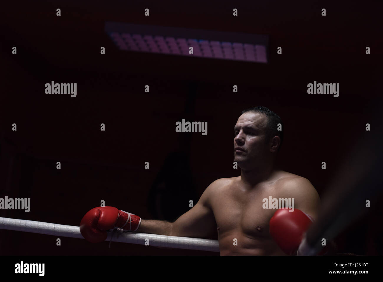 muscular professional kick boxer resting on the ropes in the corner of ...