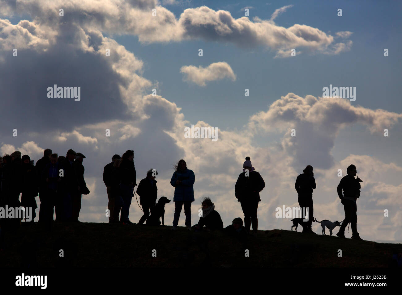 Dogs in space hi-res stock photography and images - Alamy