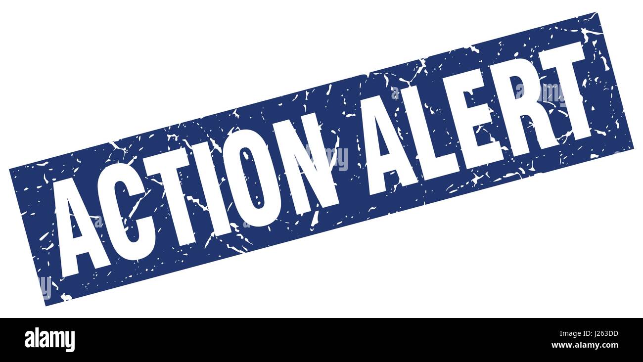 square grunge blue action alert stamp Stock Vector Image & Art - Alamy