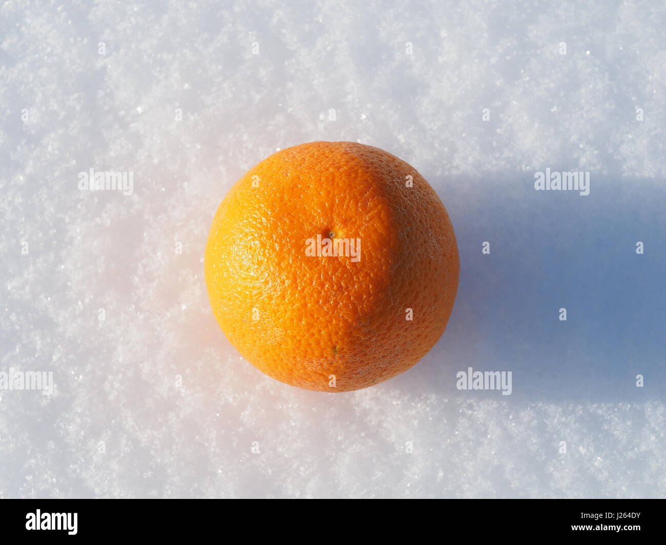 Orange in the snow Stock Photo - Alamy
