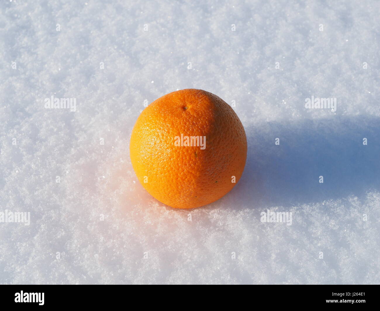 Orange in the snow Stock Photo - Alamy