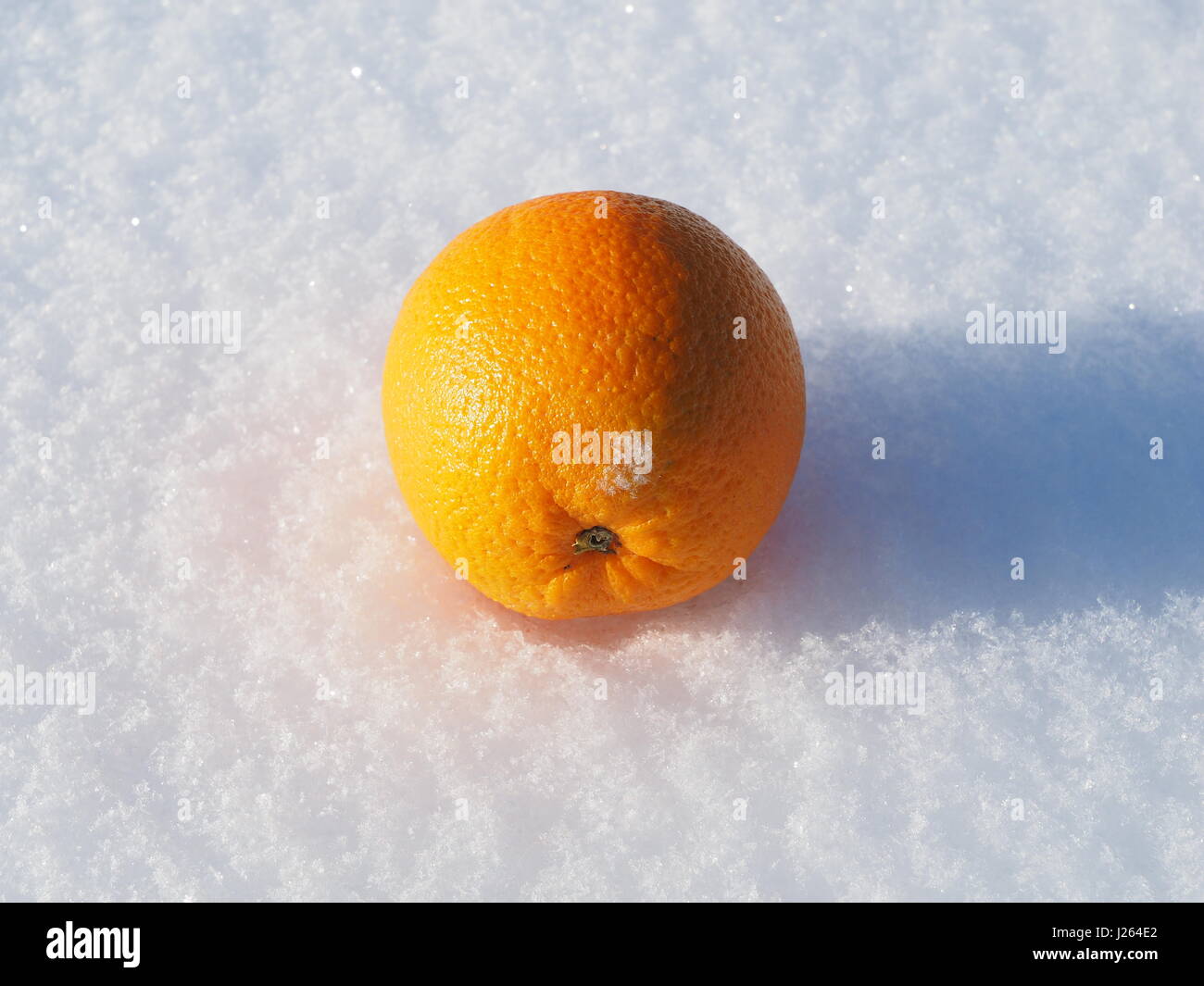 Orange in the snow Stock Photo - Alamy